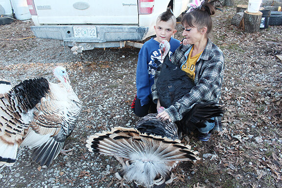 "A Bird Of Courage" Raising The Bar For Heritage Turkeys - Clinton ...