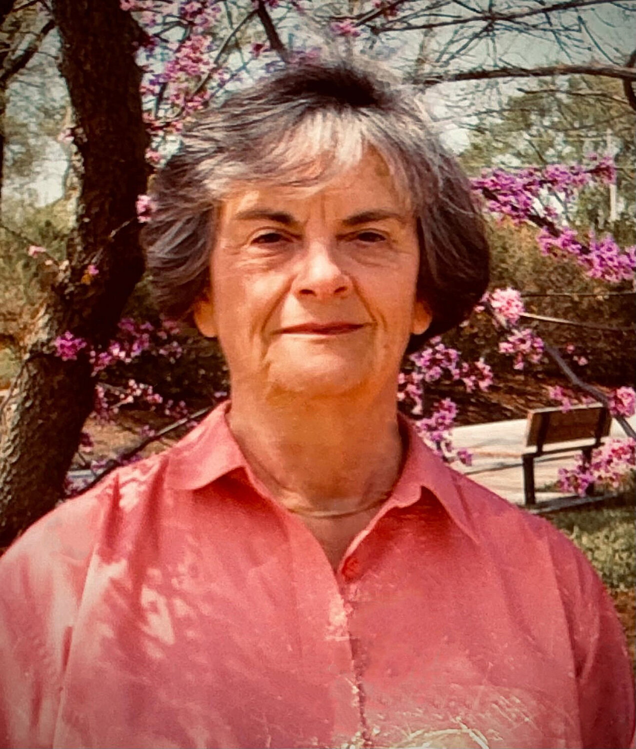 Virginia Evelyn Perkins - Benton County Enterprise