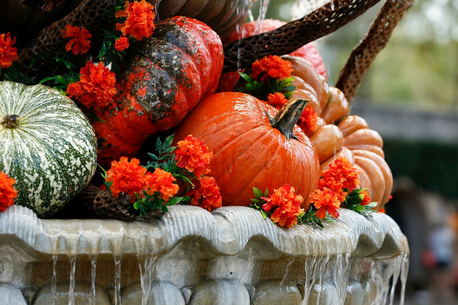 The Catholic roots of ‘pumpkin spice,’ and the saint who first ...