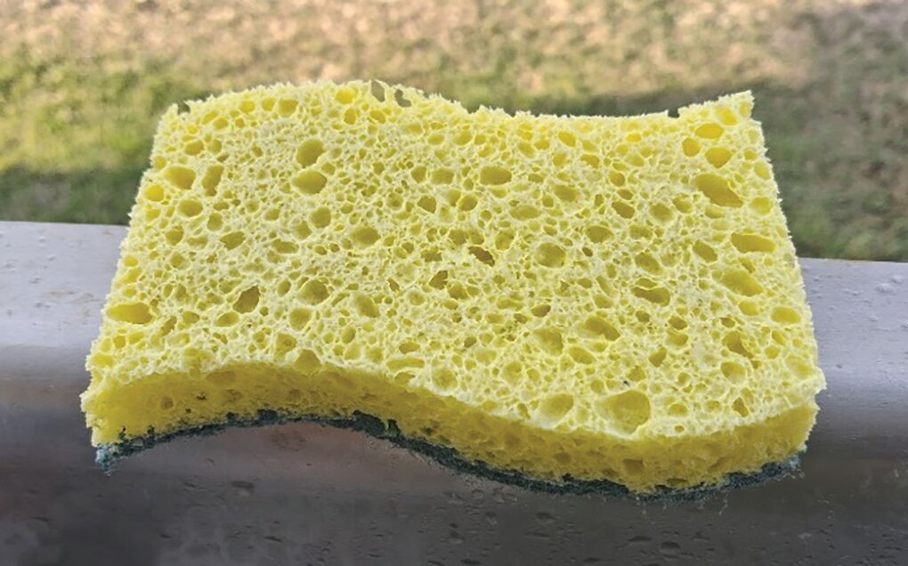Like a sponge | Emanuel County Live