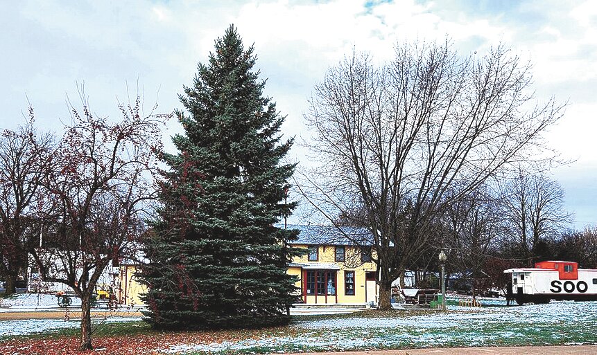 Tree lighting is part of Christmas in Frederic this year - Inter-County ...
