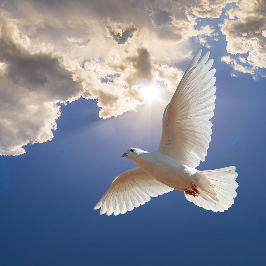 Obituaries | Laclede County Record