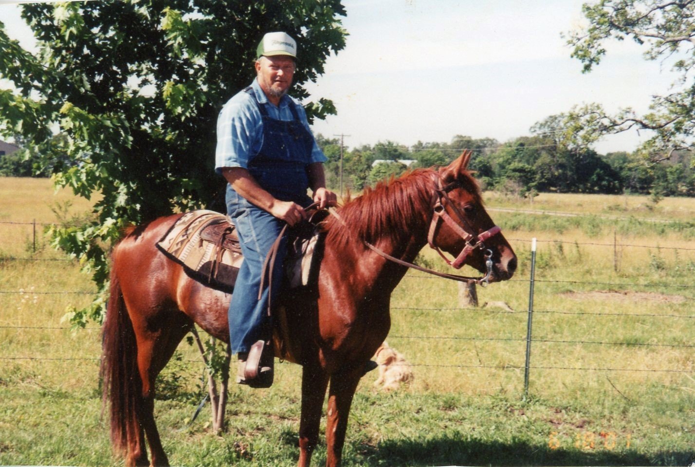 RONALD EUGENE COOK | Laclede County Record
