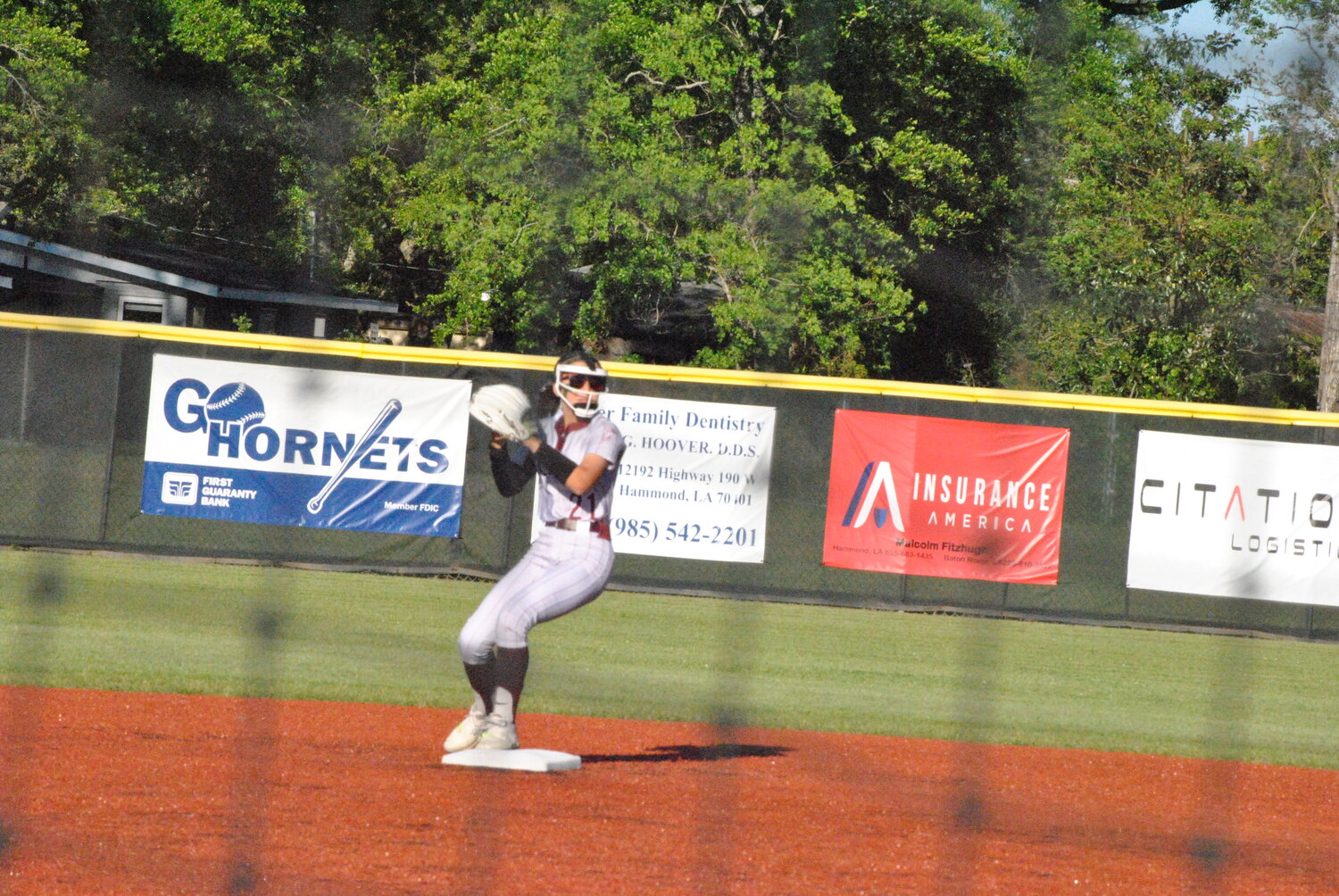 Albany’s start, Rogers pitching helps Lady Hornets defeat Holden ...