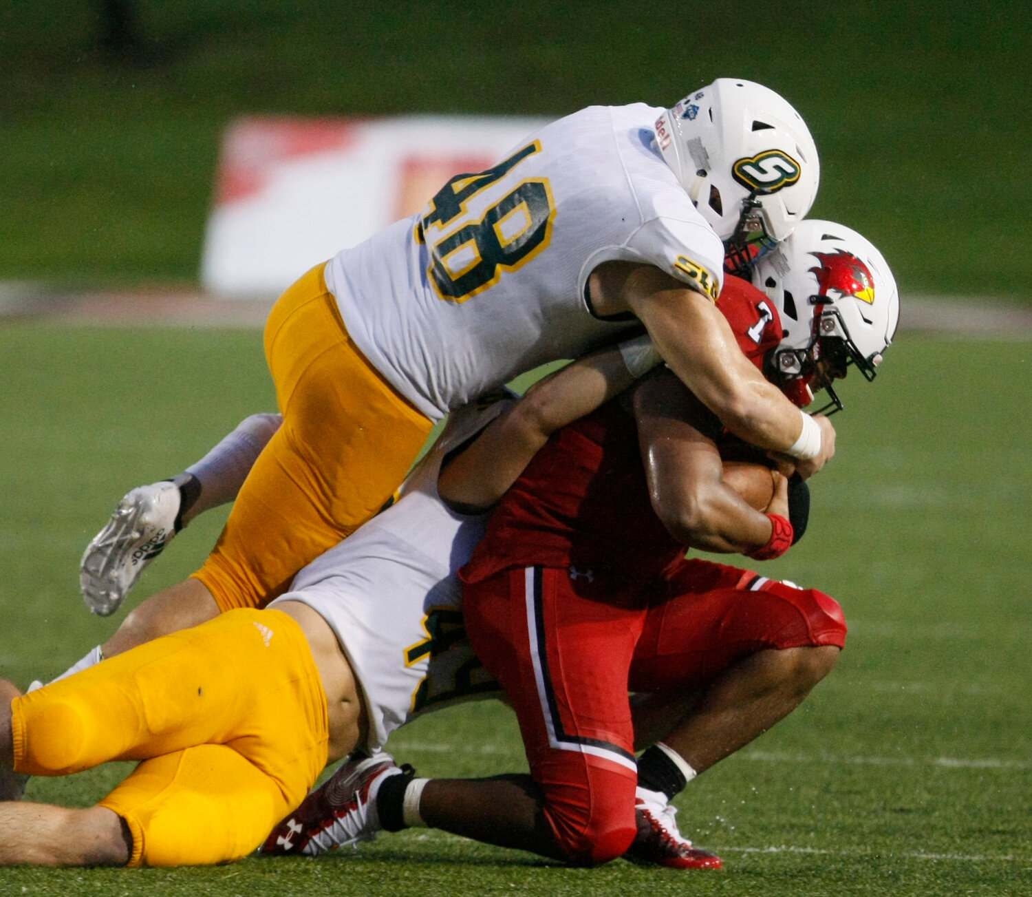 COLLEGE FOOTBALL | Lions rally to defeat Lamar for first win in Scelfo ...