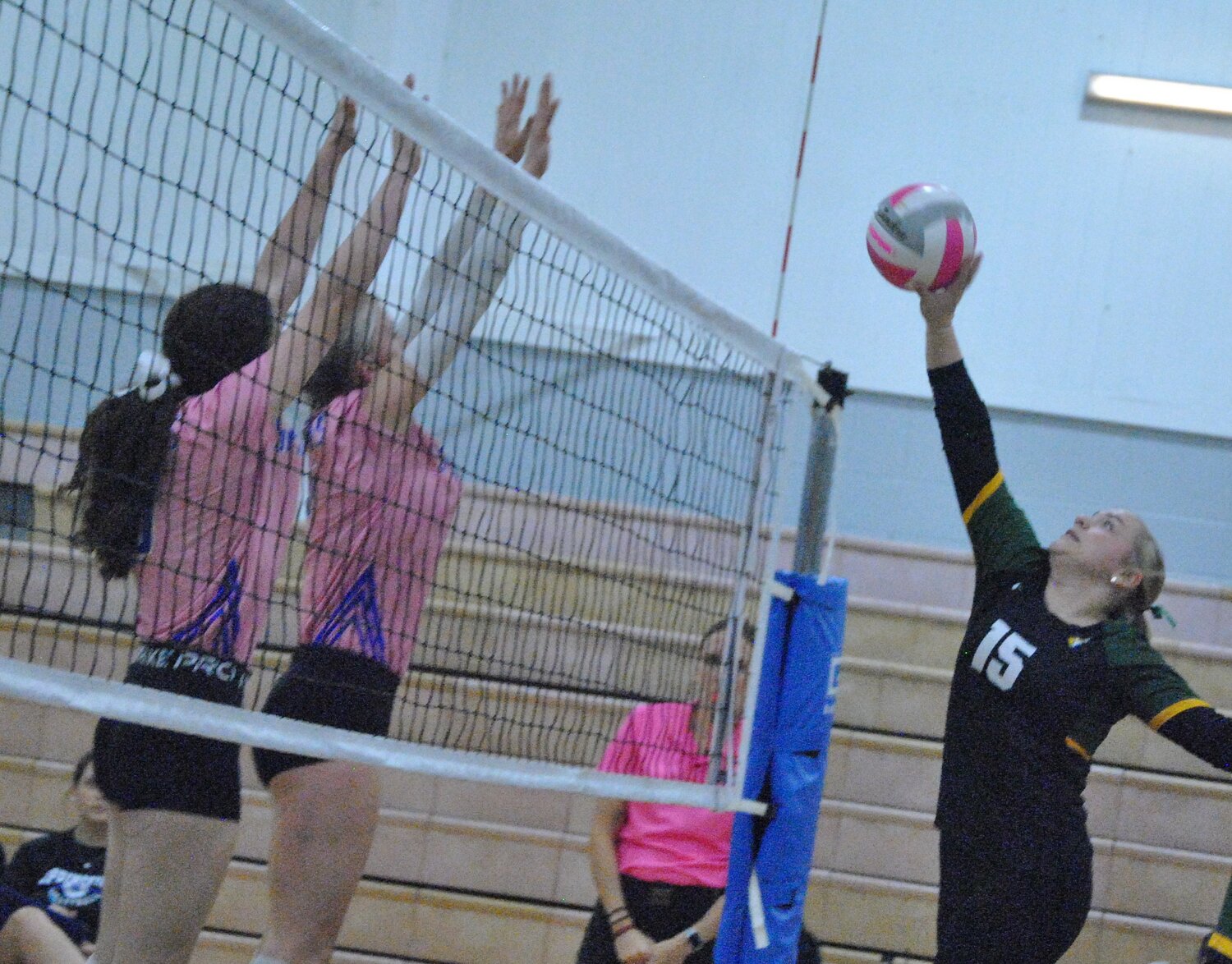 VOLLEYBALL | ROUNDUP Walker, Live Oak capture wins in local matchups ...