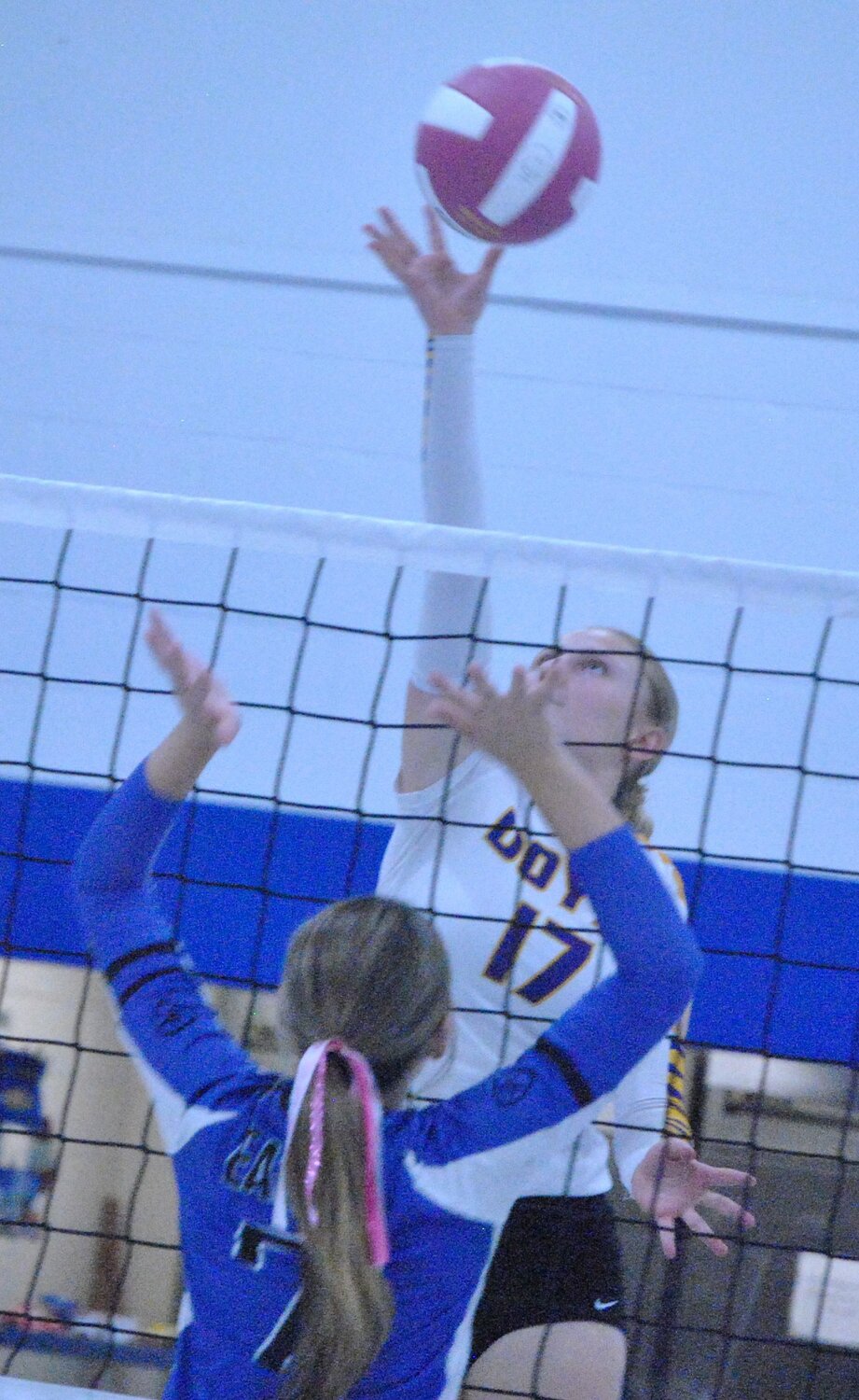 VOLLEYBALL | Trio of local teams headed to the playoffs - Livingston ...