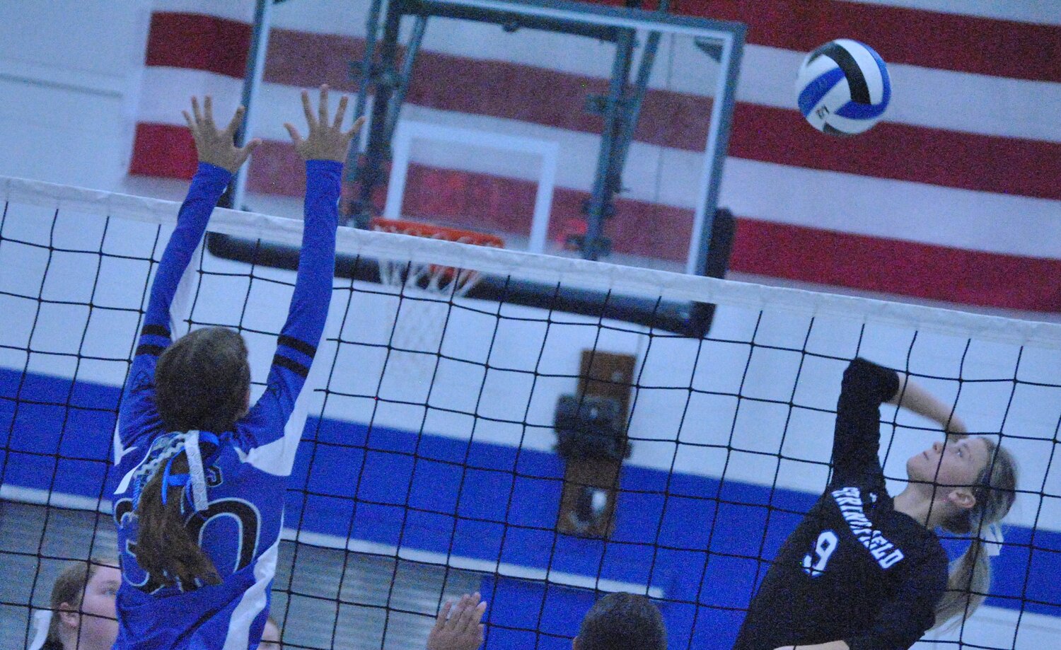 VOLLEYBALL | Doyle’s Bridges, Springfield’s Effler win all-district MVP ...