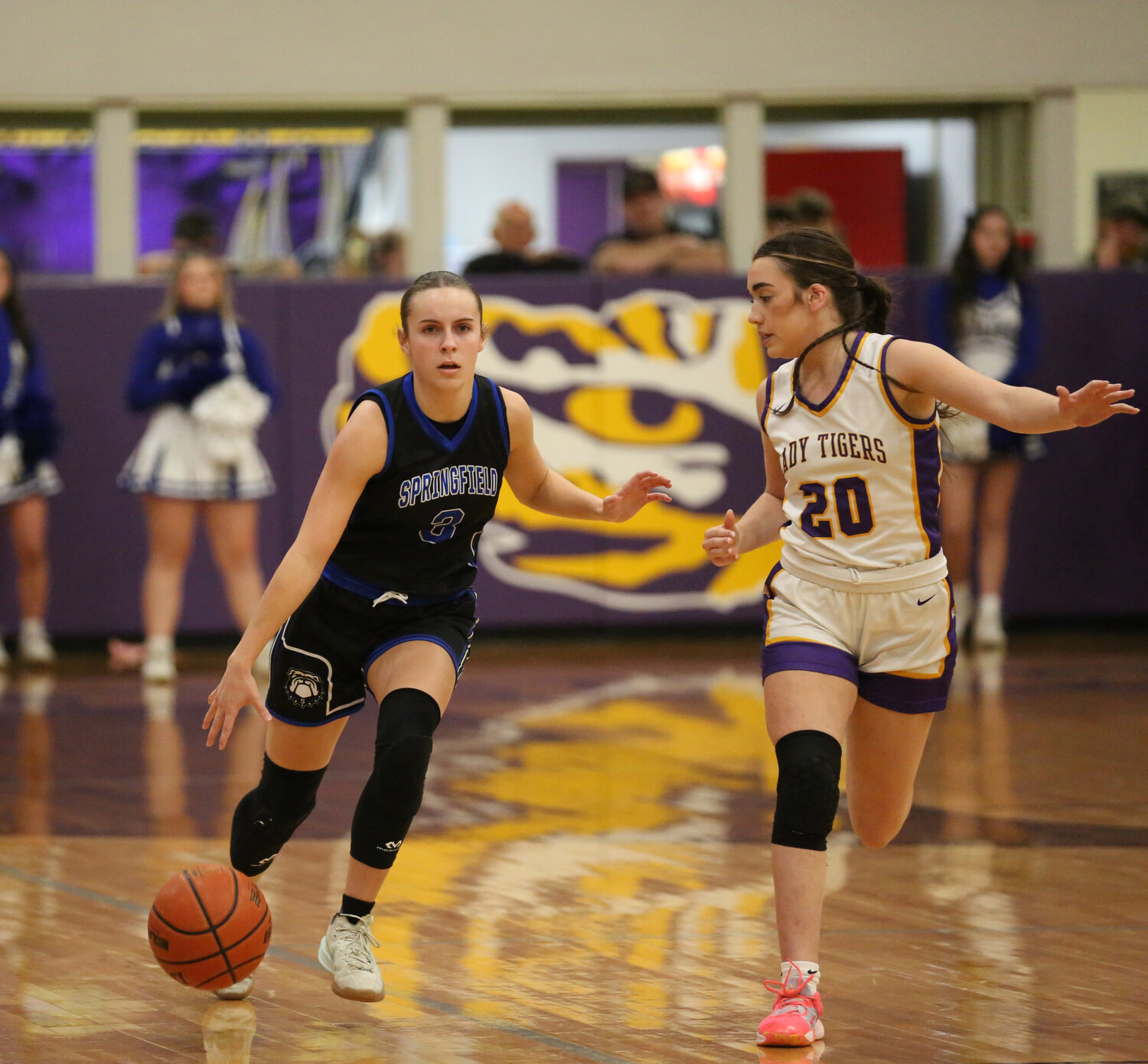BASKETBALL | Springfield pulls away for district win over Doyle ...