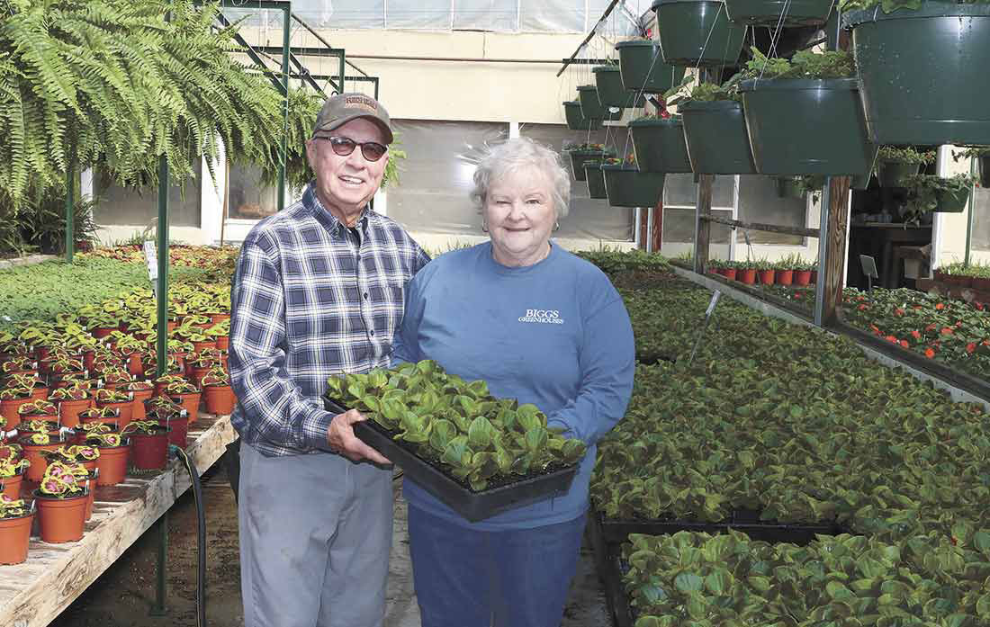 Biggs’ Greenhouses is Ready to Serve Your Spring Planting Needs | The ...