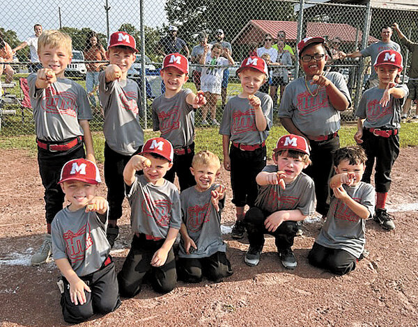 Youth Baseball Season Concludes in McKenzie | The Mckenzie Banner