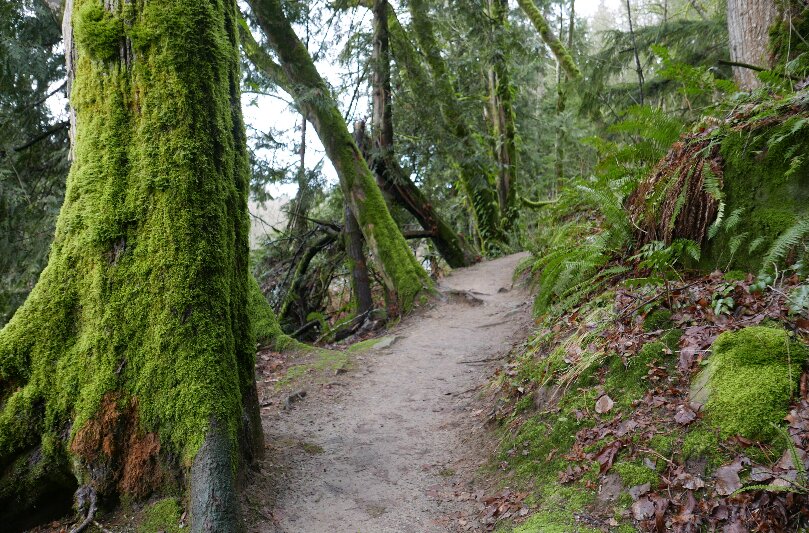 3 Snow-free Spring Hikes - Mount Baker Experience
