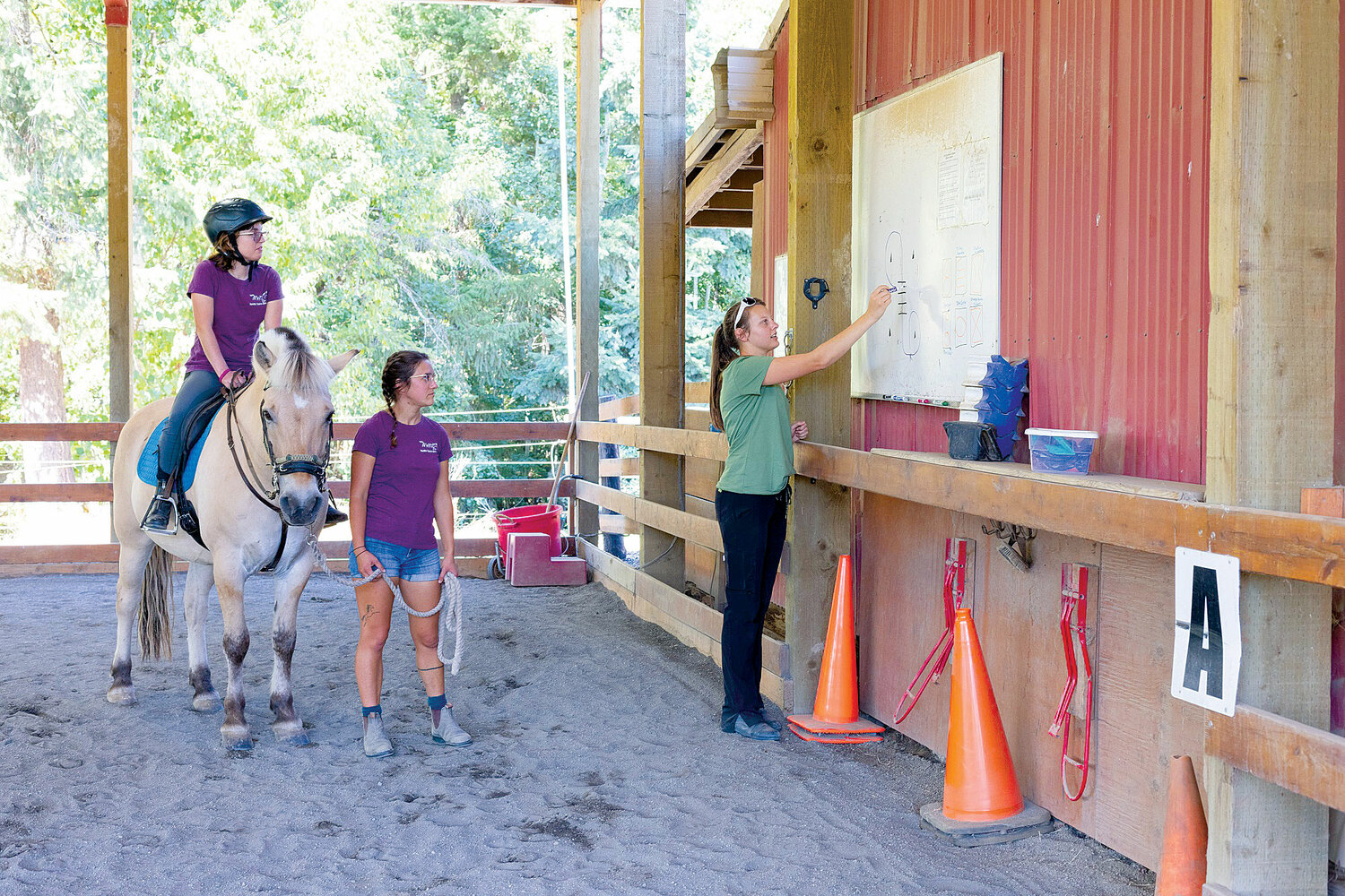 A Different Kind Of Ride Mount Baker Experience