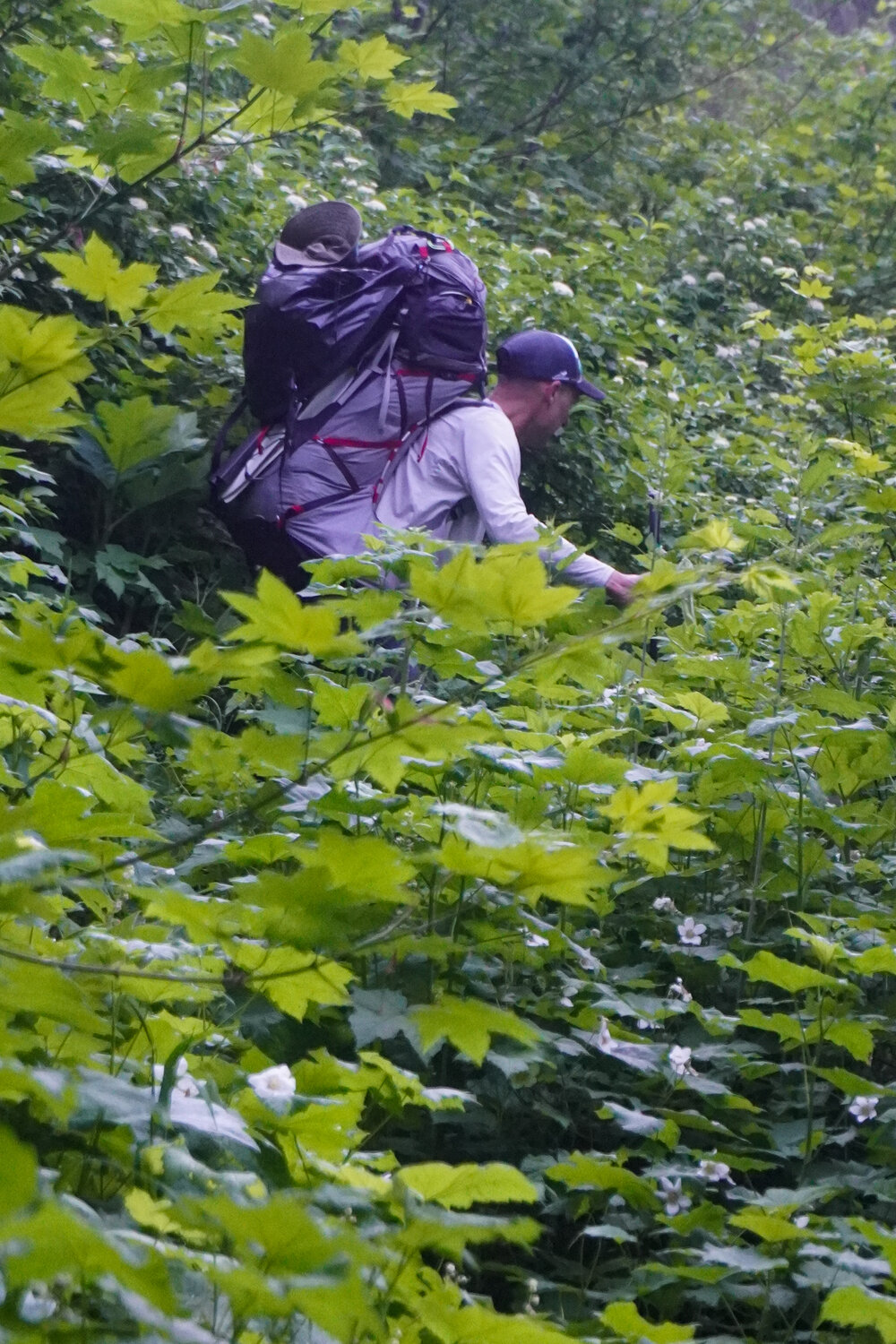 Fred Beckey's Lost Map - Mount Baker Experience