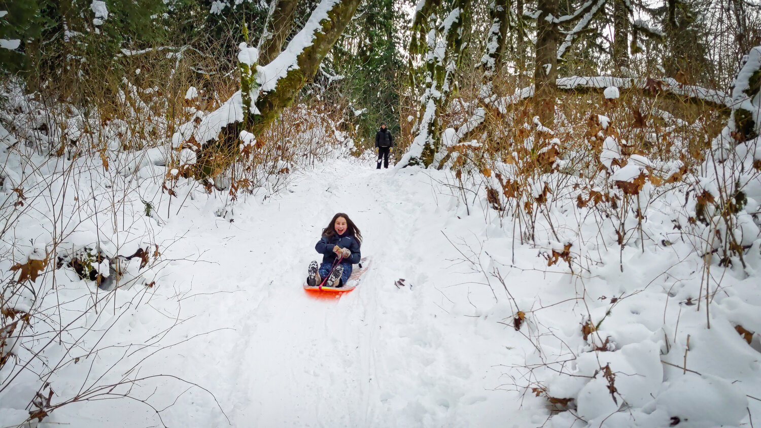 The Joy of Sledding - Mount Baker Experience
