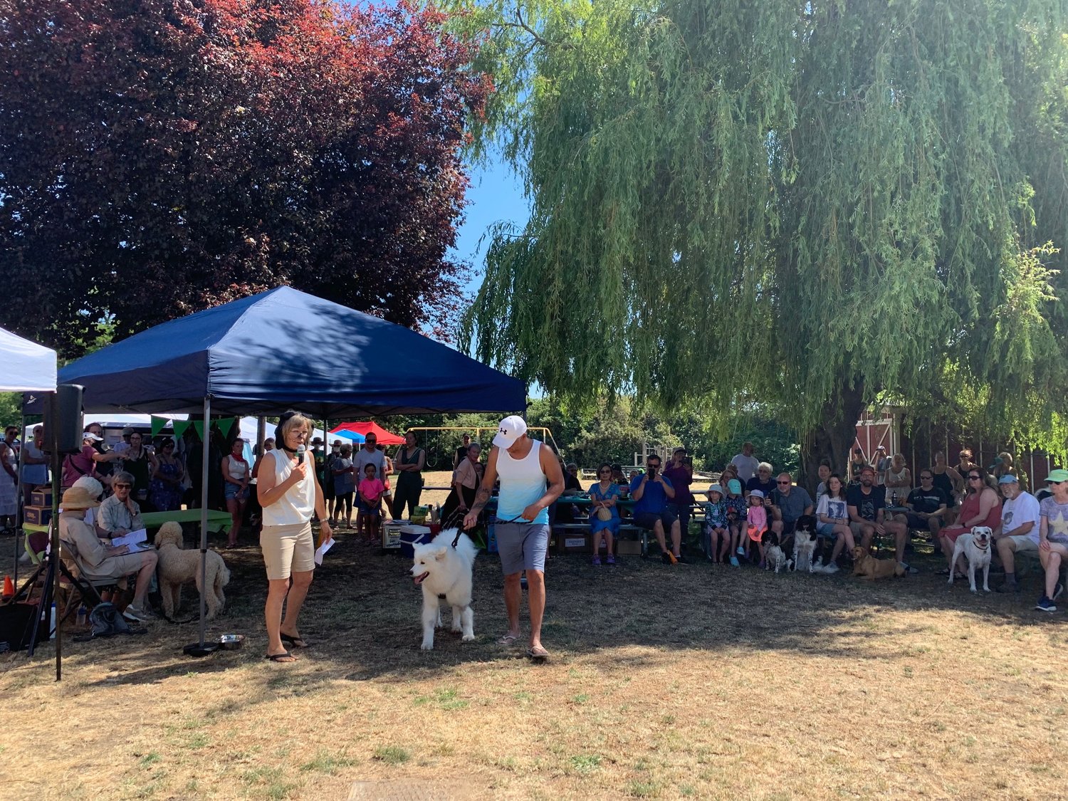 The Every Dog is a Winner contest | All Point Bulletin