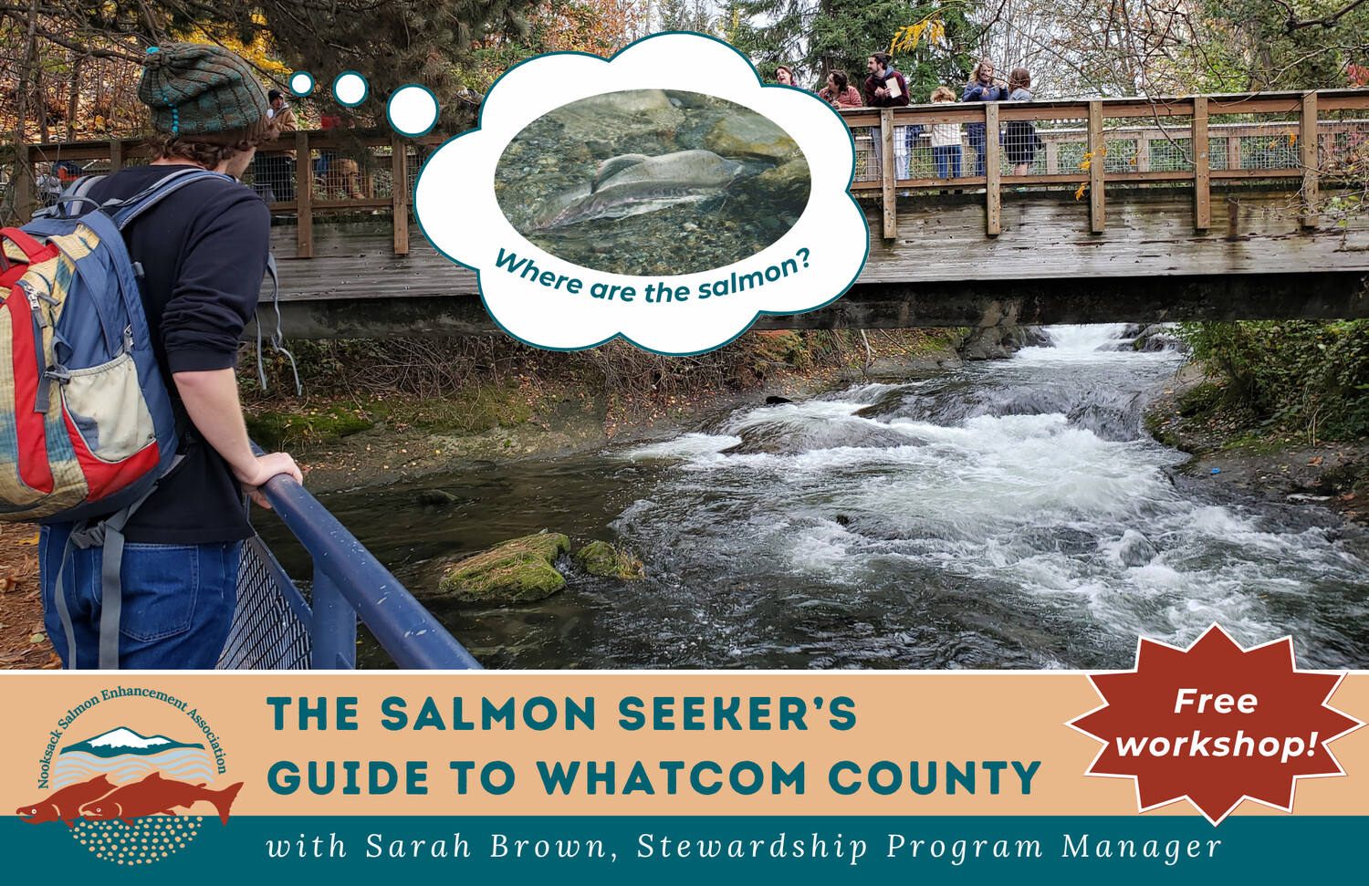 The Salmon Seeker’s Guide to Whatcom County | The Northern Light