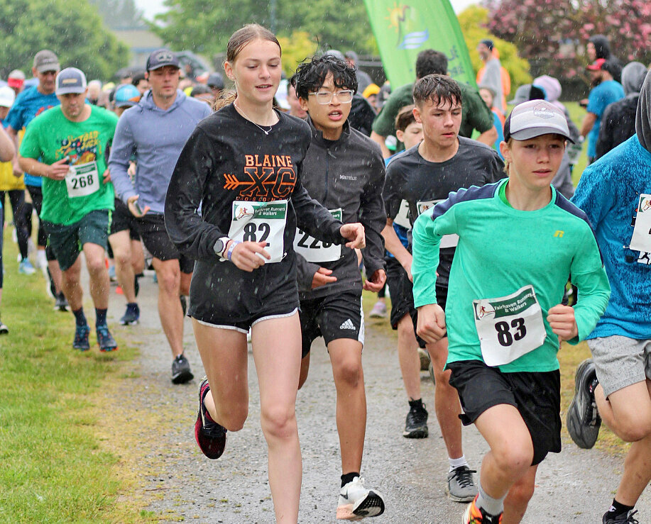 Comic festival and superhero fun run comes to Blaine Marine Park | The ...