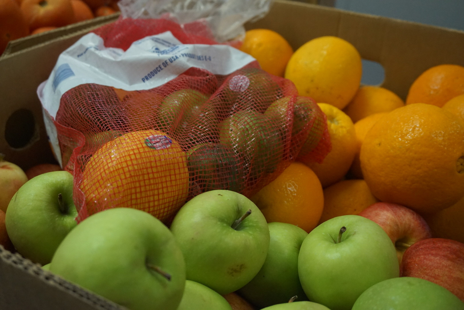 BEAM’s Grace Garden brings fresh produce, peace to families in need ...
