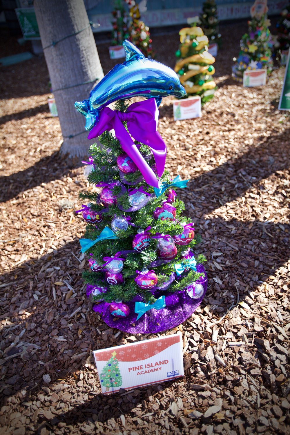 Schools compete in tree decorating contest - The Ponte Vedra Recorder