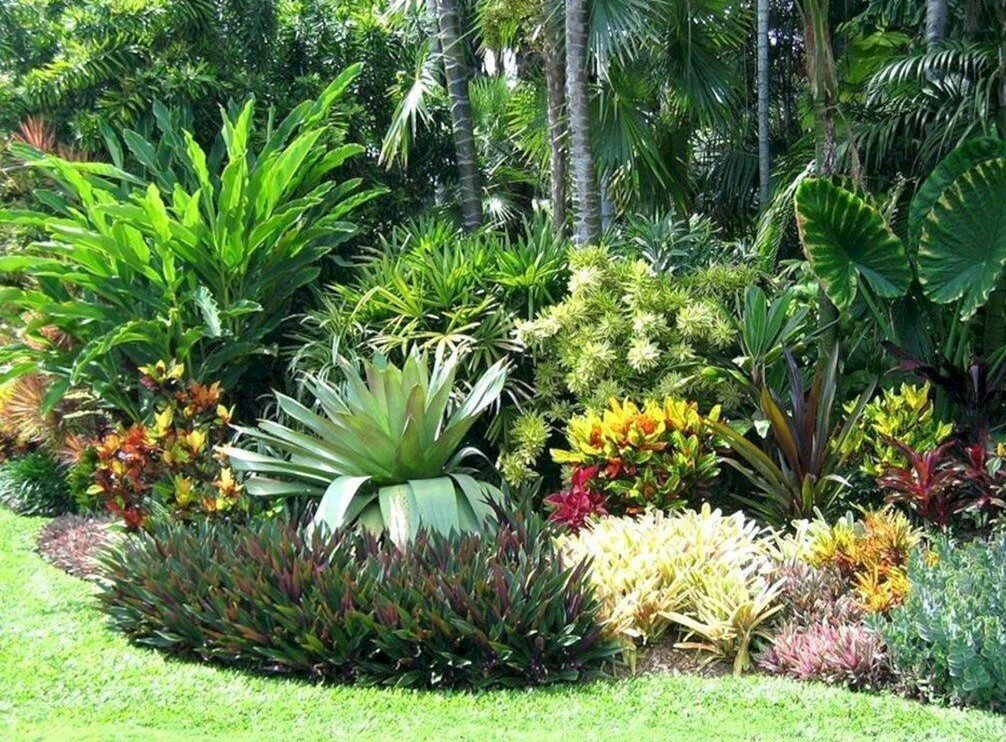 Tropical Mediterranean Landscape Experience A Breathtaking Landscaped