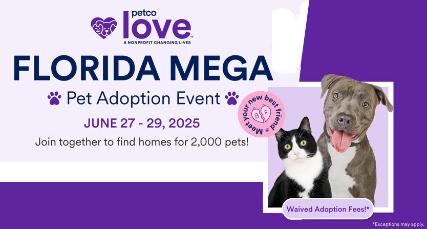 Massive adoption event returns to Fairgrounds this weekend - The Ponte ...