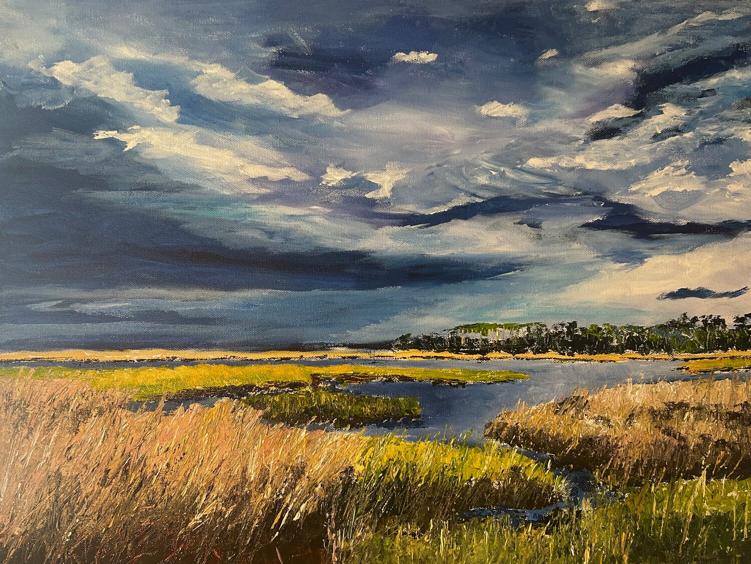 Brienen paints what people see locally - The Ponte Vedra Recorder