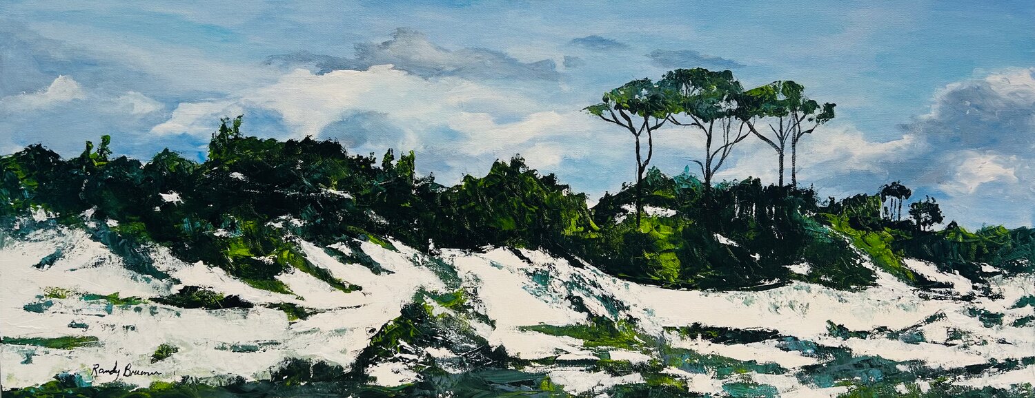 Brienen paints what people see locally - The Ponte Vedra Recorder