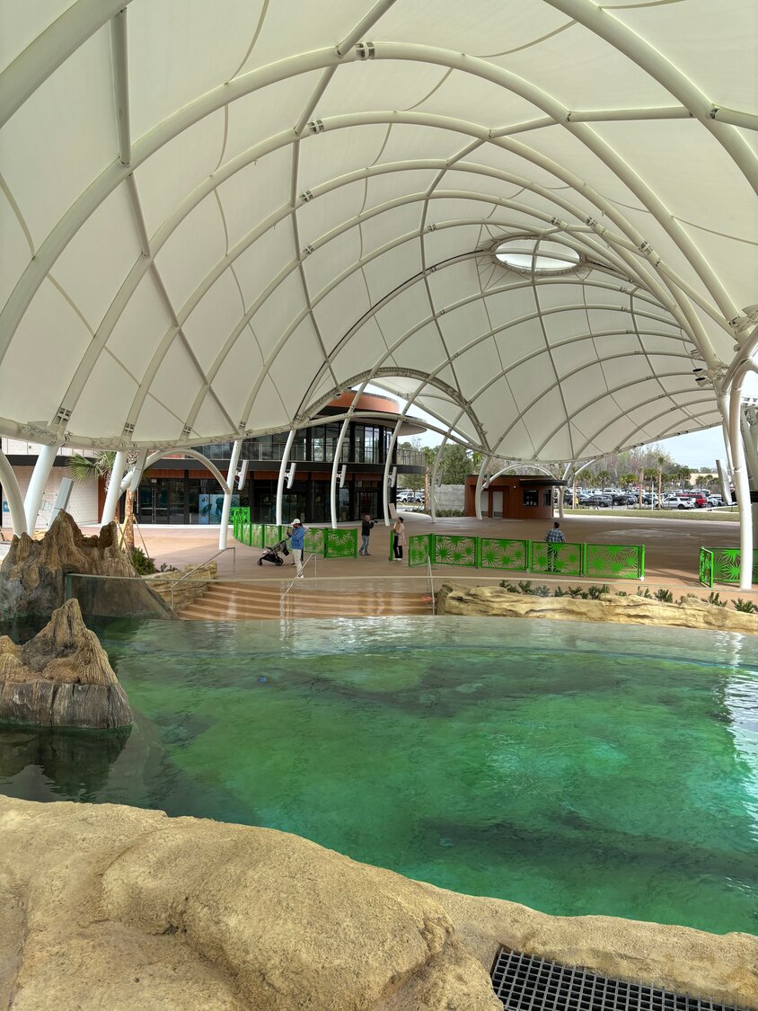 Jacksonville Zoo opens Manatee River Habitat - The Ponte Vedra Recorder