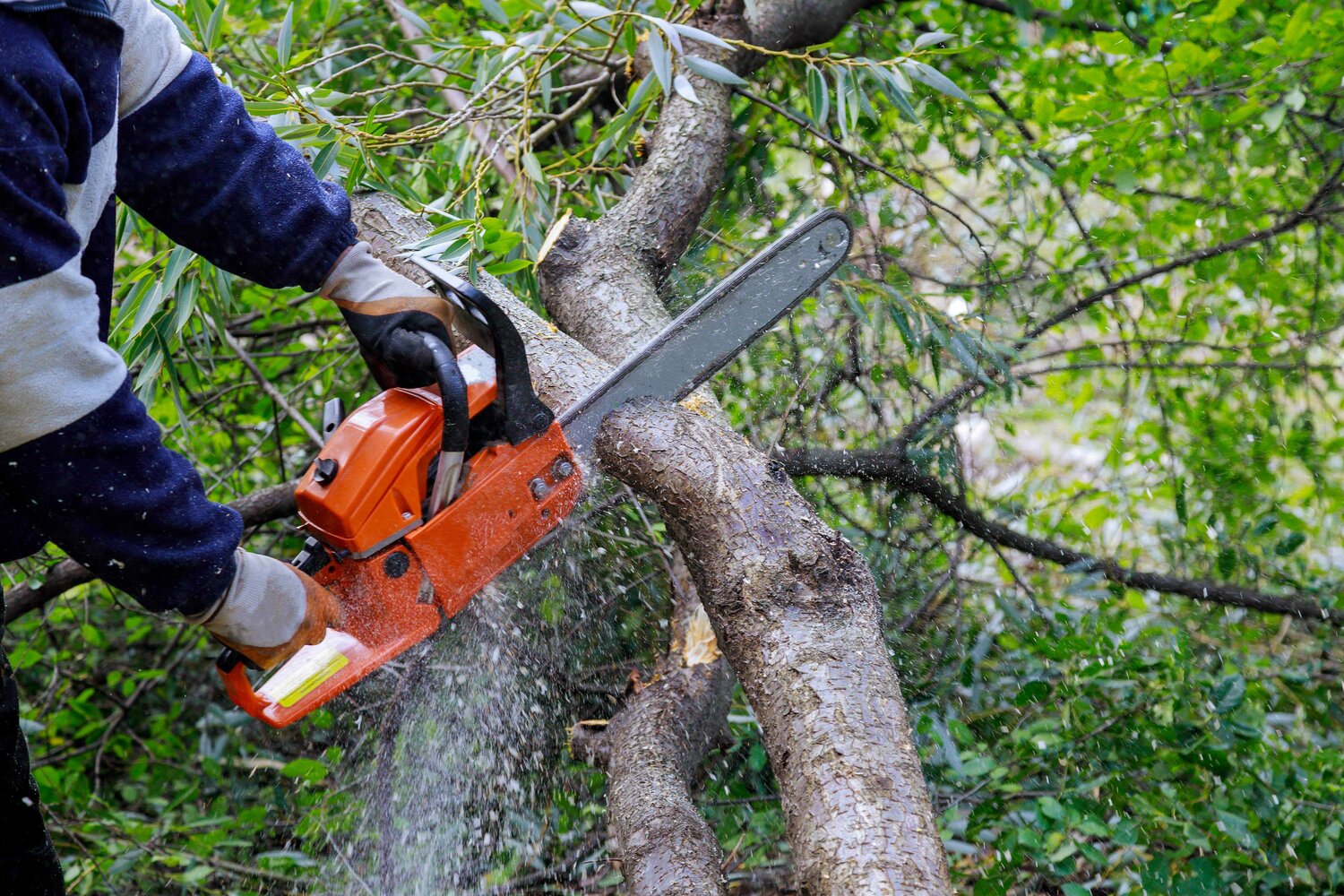 Using power equipment after the storm - The Ponte Vedra Recorder