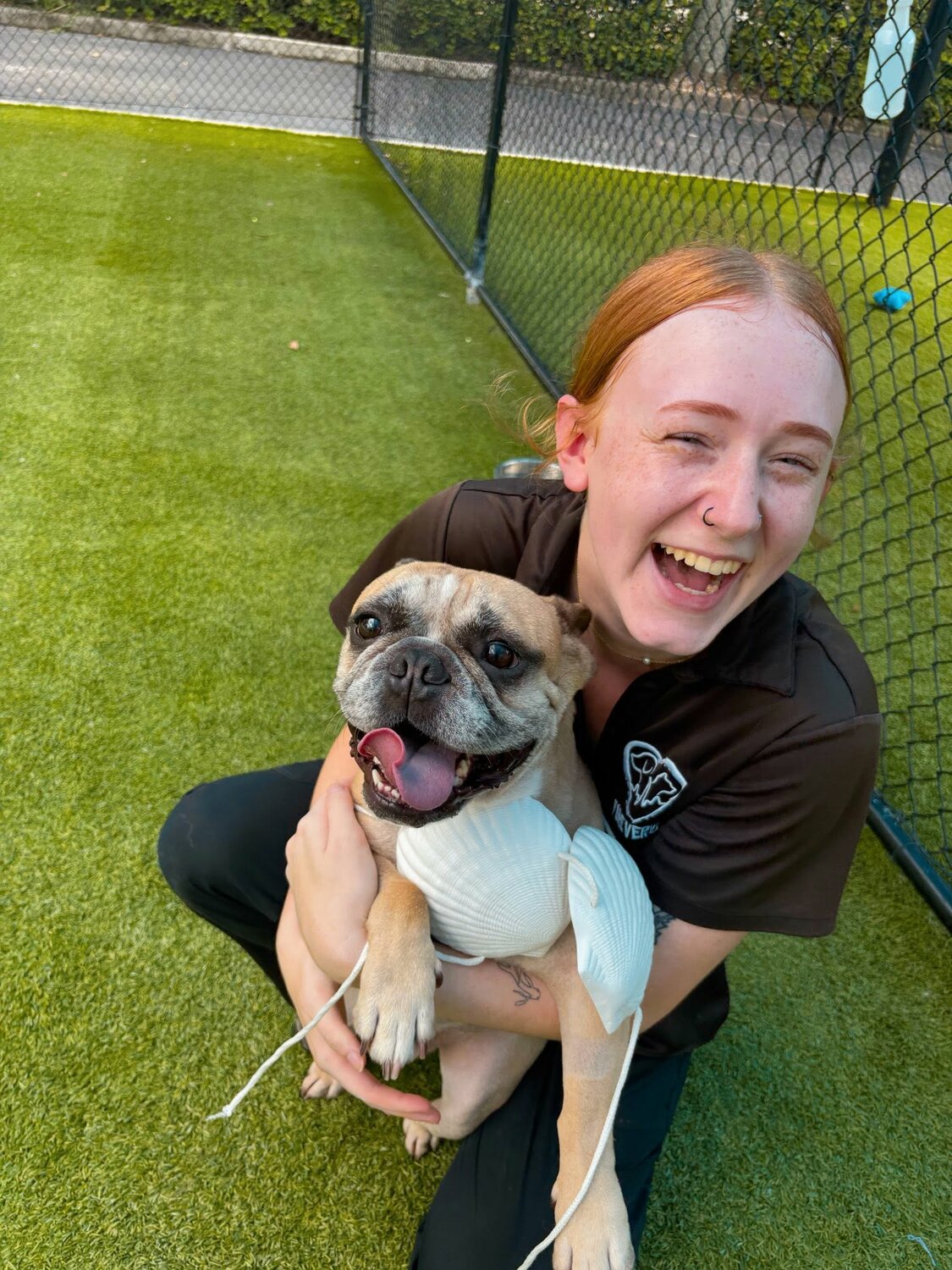 Forever Vets celebrates Dog Days of Summer - The Ponte Vedra Recorder