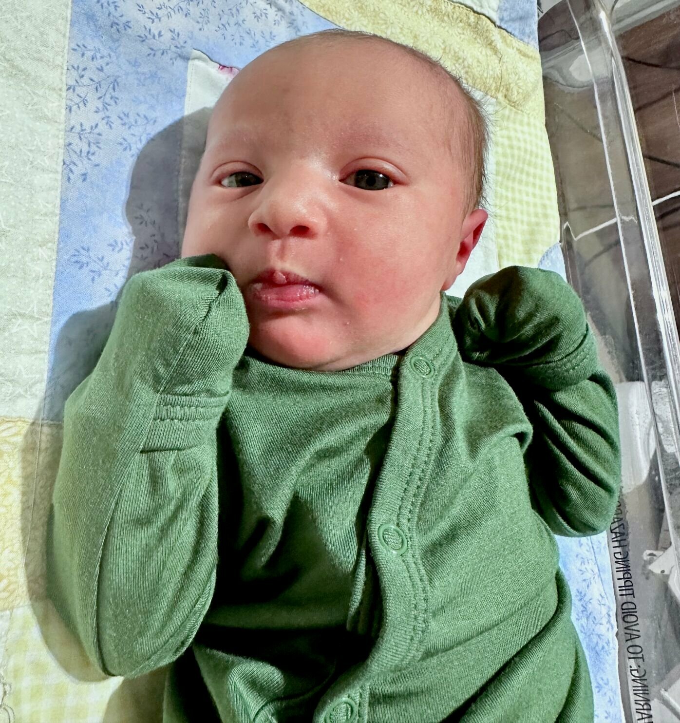 Rhoads family welcomes baby girl | West Plains Daily Quill