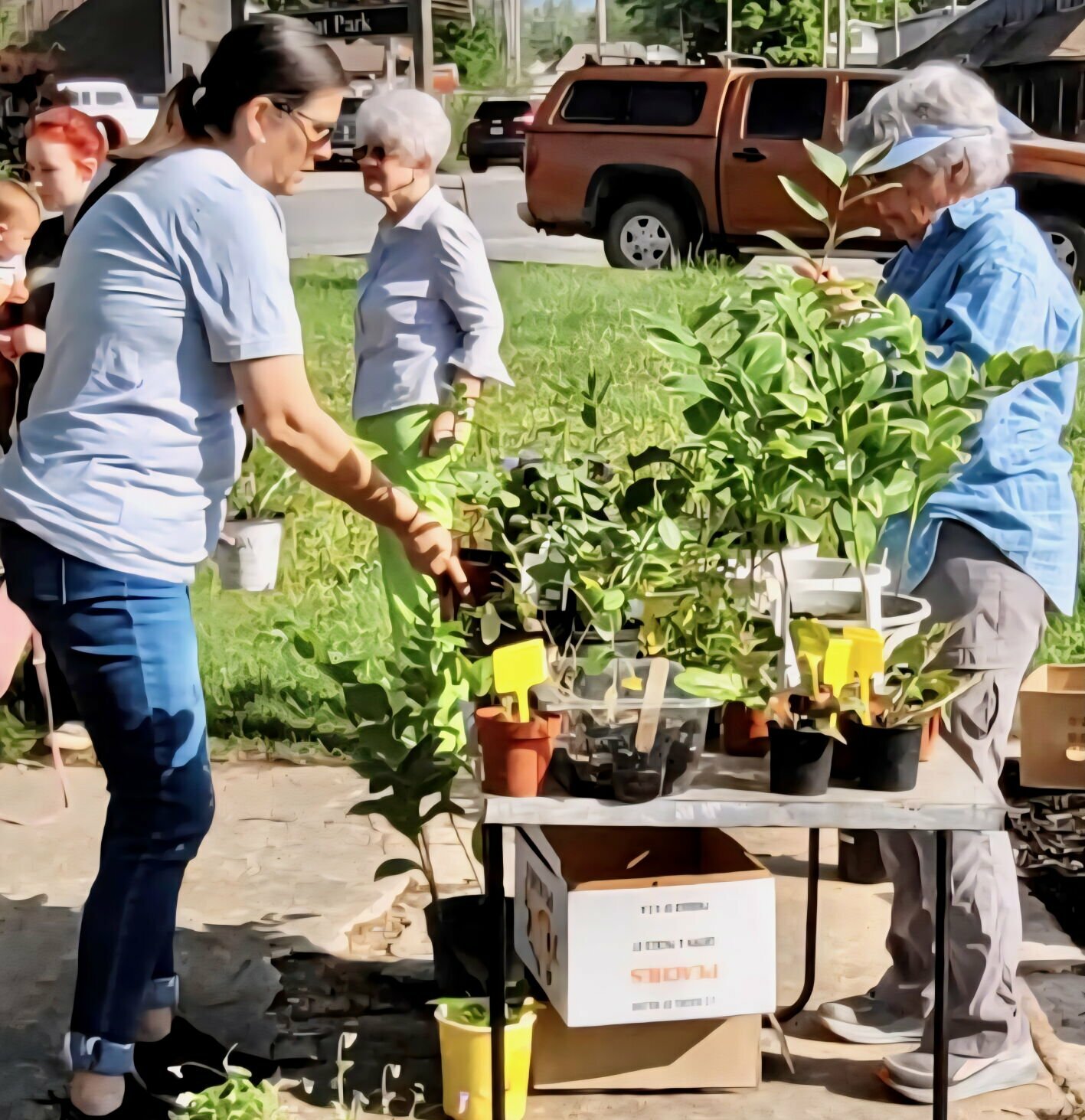 Fall Plant and Bake Sale date set | West Plains Daily Quill