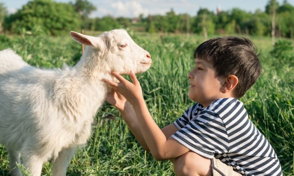 5 Profitable Animals To Pick for Your Farm - The Camden Chronicle