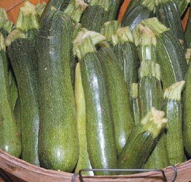 All you need is a little lemon and oil to dress up zucchini | The ...