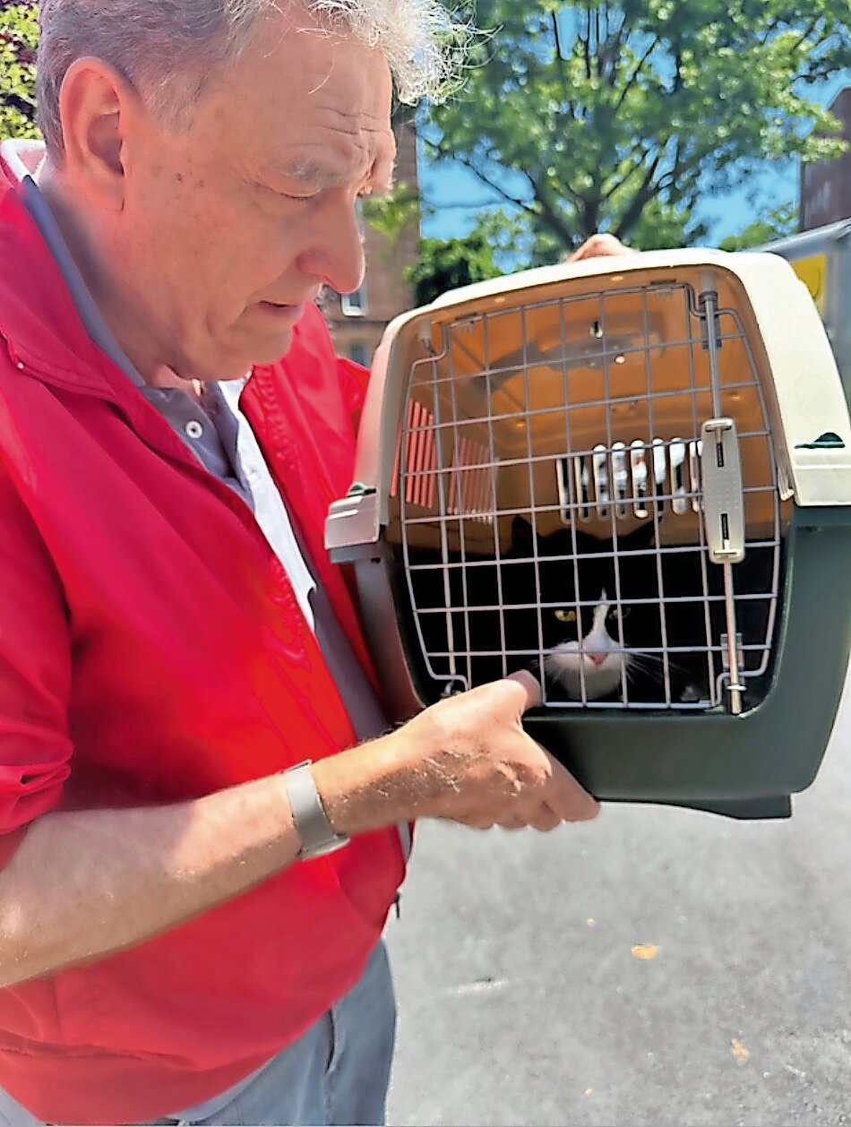 A Year After Her Owner’s Death, Annie Marie Still Waits for Someone to ...