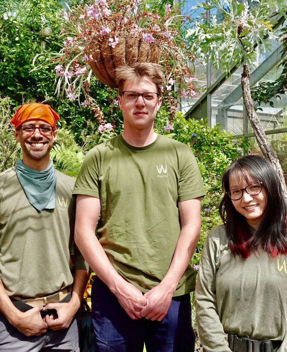 At Wave Hill, John Nally interns dig into gardening careers and ...