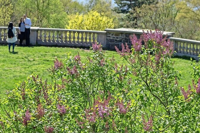 Bronx gardens adapt to unpredictable weather as climate change alters ...